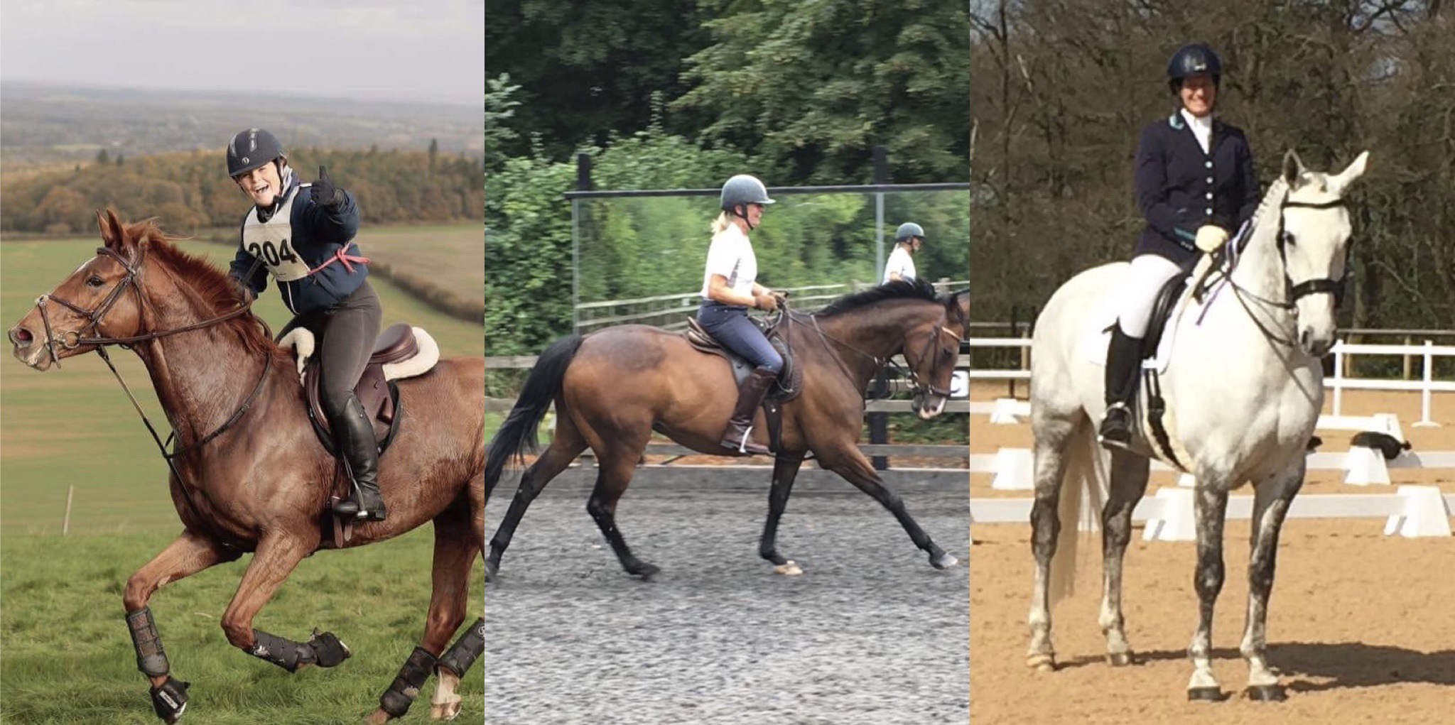 Winchester Riding Club | Gallery